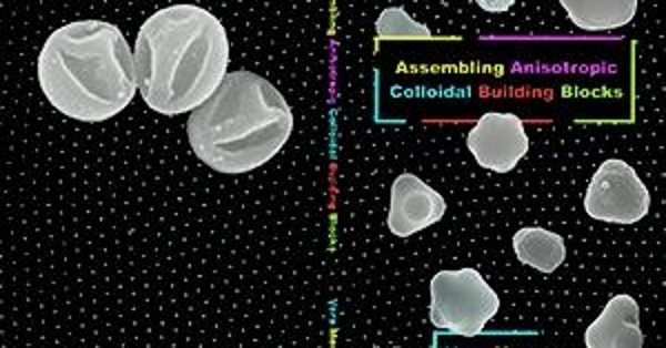 Assembling anisotropic colloidal building blocks - Leiden University
