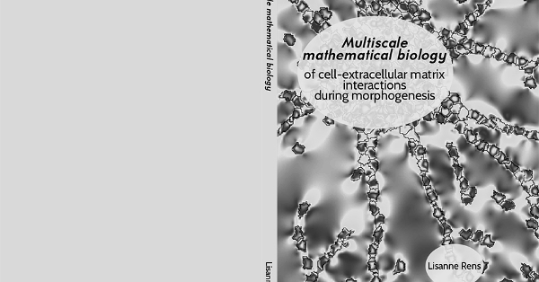 Multiscale mathematical biology of cell-extracellular matrix ...