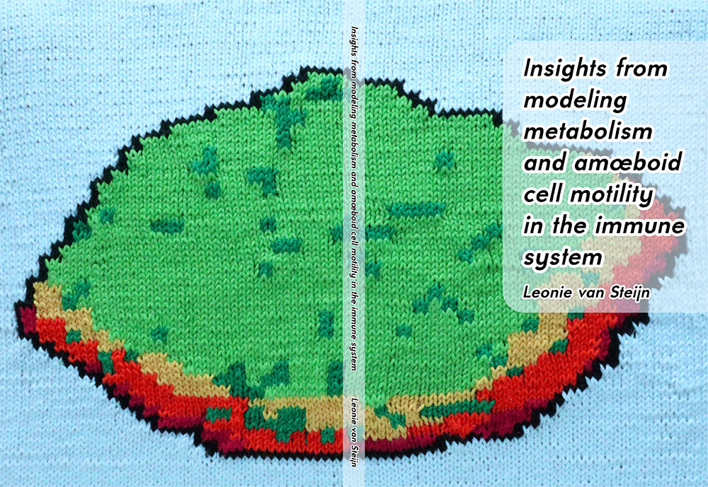Insights from modeling metabolism and amoeboid cell motility in the ...