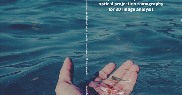 Computational optimisation of optical projection tomography for 3D ...