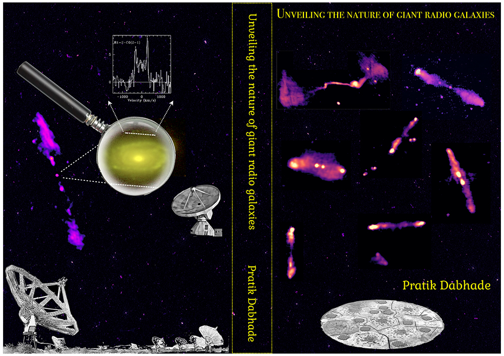 Unveiling the nature of giant radio galaxies - Leiden University