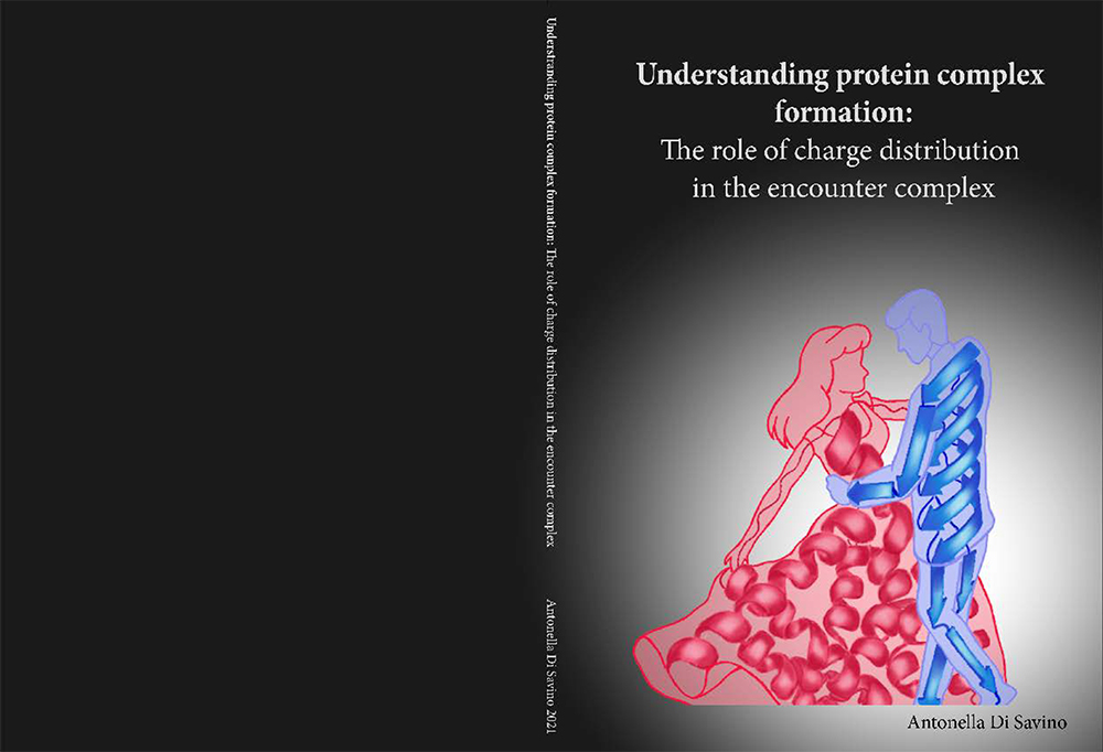 Understanding protein complex formation: The role of charge ...