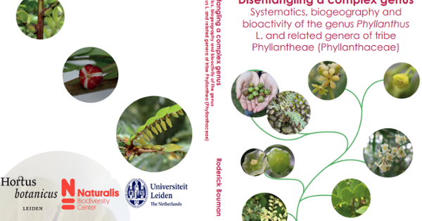 Disentangling a complex genus: systematics, biogeography and ...