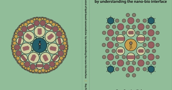 Gaining control of lipid-based nanomedicine by understanding the nano ...