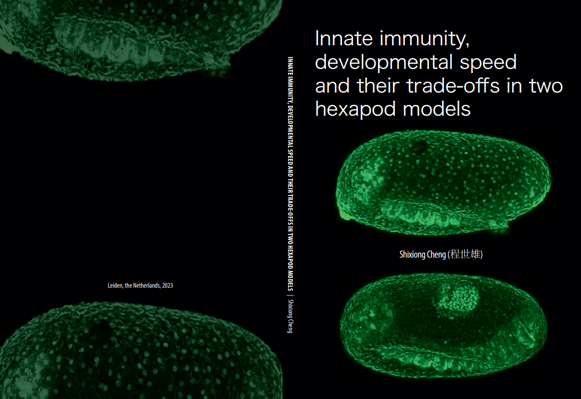 Innate immunity, developmental speed and their trade-offs in two ...