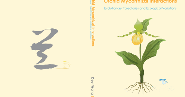 Orchid mycorrhizal interactions: evolutionary trajectories and ...