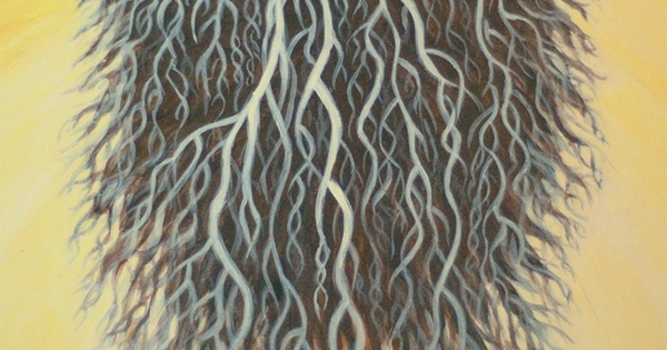 Understanding disease suppressive soils - Leiden University