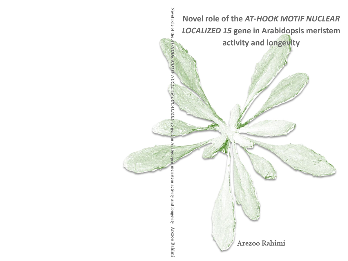 Novel role of the AT-HOOK MOTIF NUCLEAR LOCALIZED 15 gene in ...