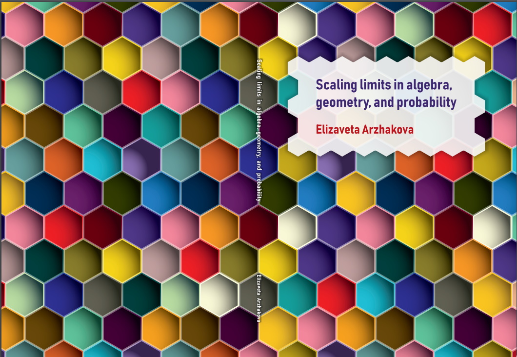 Scaling Limits in Algebra, Geometry, and Probability - Universiteit Leiden