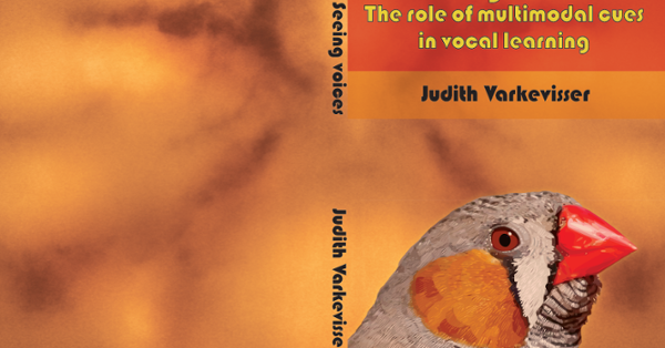 Seeing voices: the role of multimodal cues in vocal learning - Leiden ...