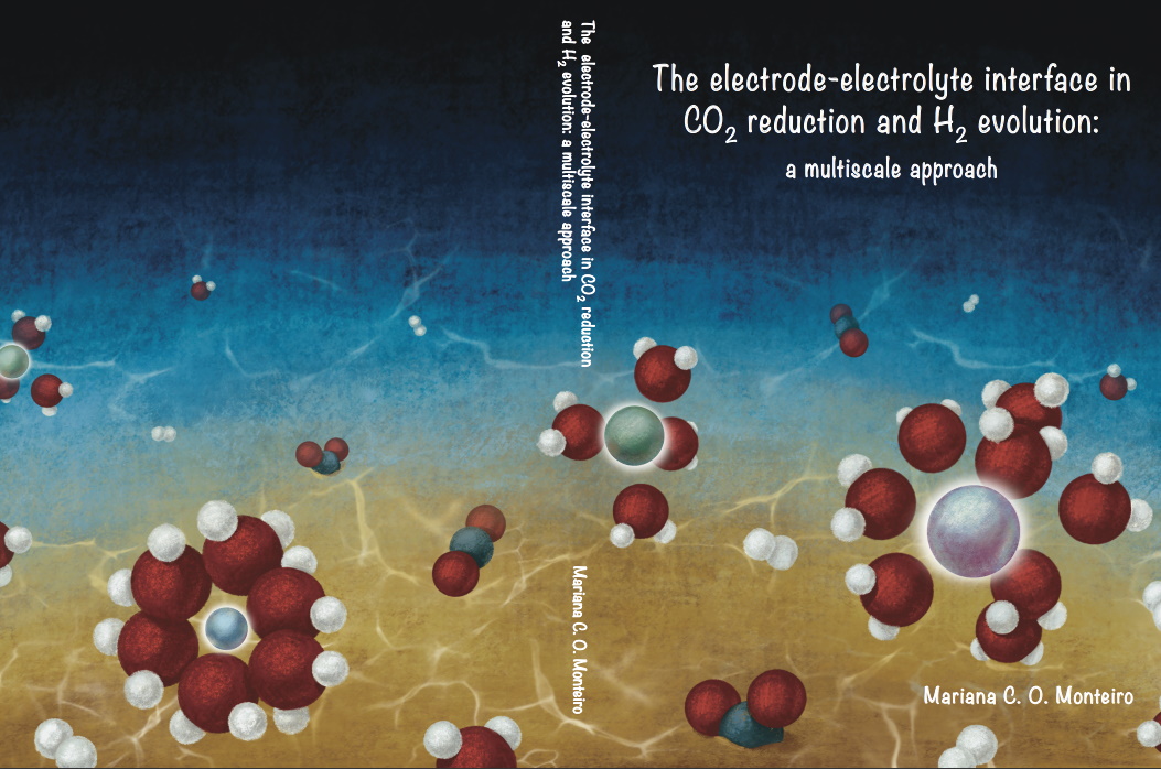 The electrode-electrolyte interface in CO2 reduction and H2 evolution ...