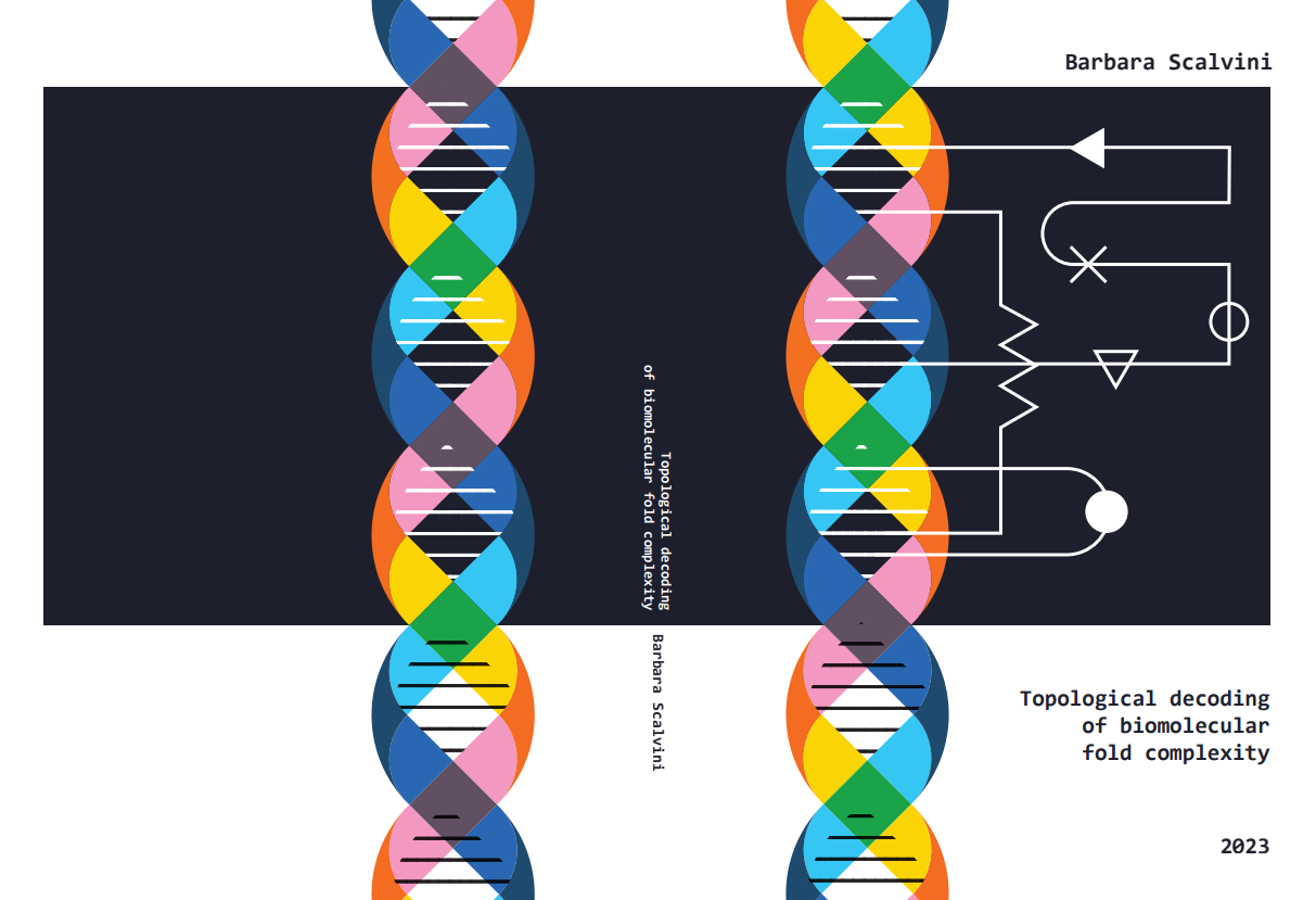 Topological Decoding Of Biomolecular Fold Complexity Leiden University