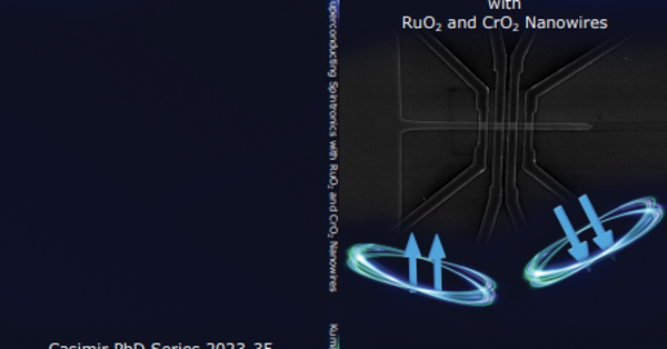 Towards superconducting spintronics with RuO2 and CrO2 nanowires ...