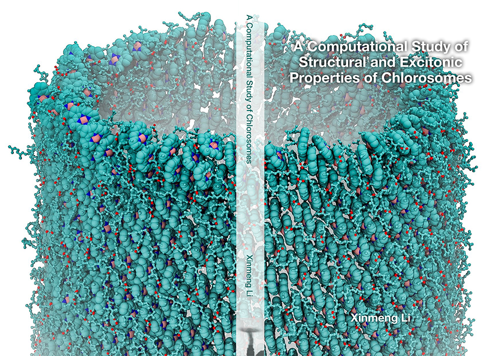 A computational study of structural and excitonic properties of ...