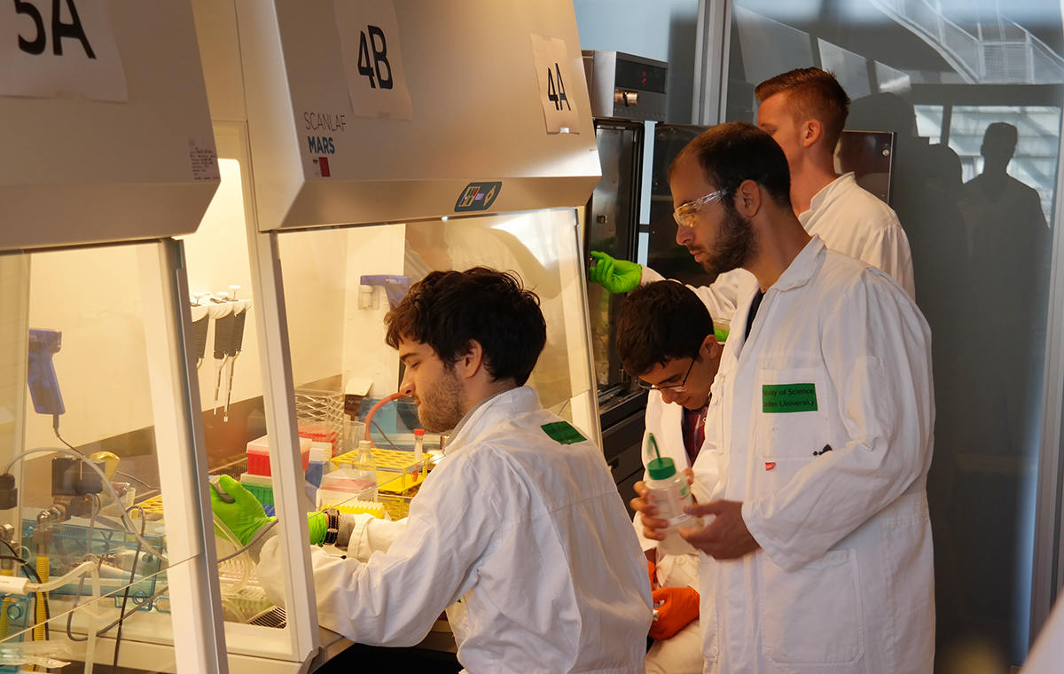 Interdisciplinary research and new friends during LACDR Summer School ...