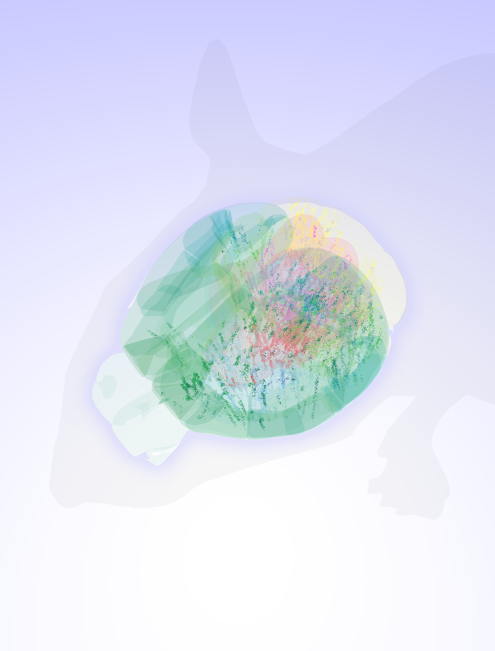 For the first time, scientists map brain activity across the entire ...