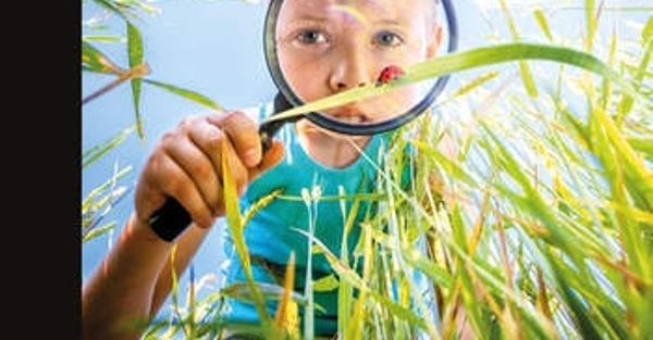 'Learning to see, or how to make sense of the skillful things ...