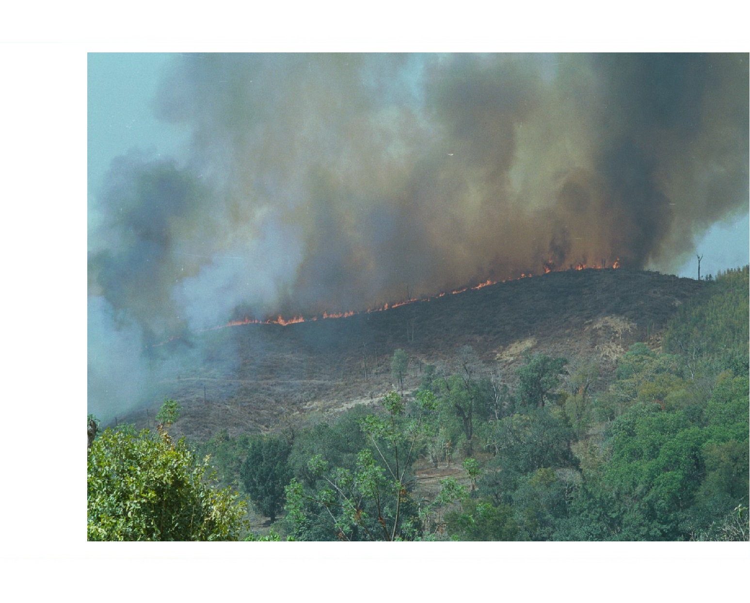 Marginal Lands? The Commodification and Re-appreciation of Upland ...