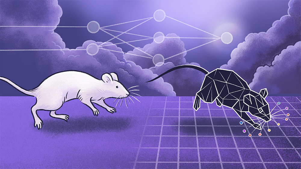 Lightning Pose: improved animal pose estimation - Leiden University