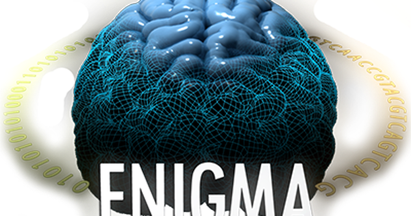 ENIGMA-Anxiety Working Group - Leiden University