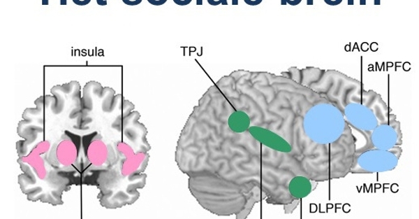 The social brain in adolescence - Leiden University