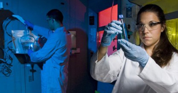 Seven Leiden researchers win €1.5m Vici grant - Leiden University