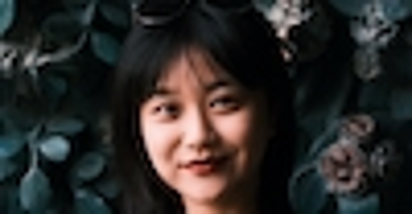 Liwen Meng - Universiteit Leiden