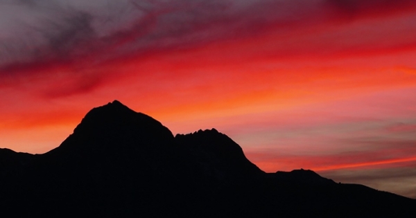 In memoriam: Maolin Zhang - Universiteit Leiden