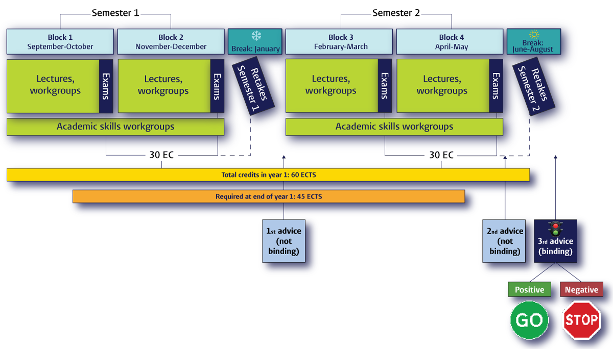 Programme structure - Leiden University