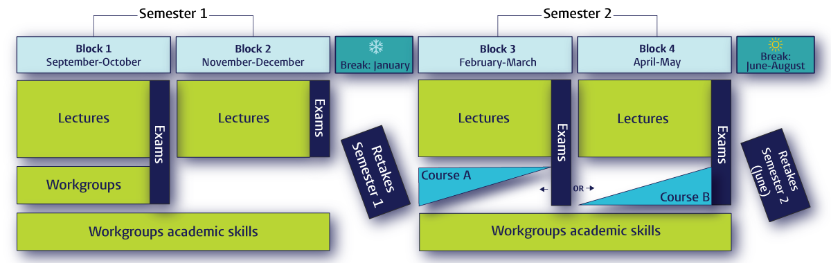 Programme structure - Leiden University