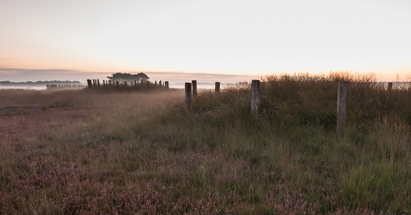Van honkvaste mannen en reizende huwbare vrouwen - Universiteit Leiden